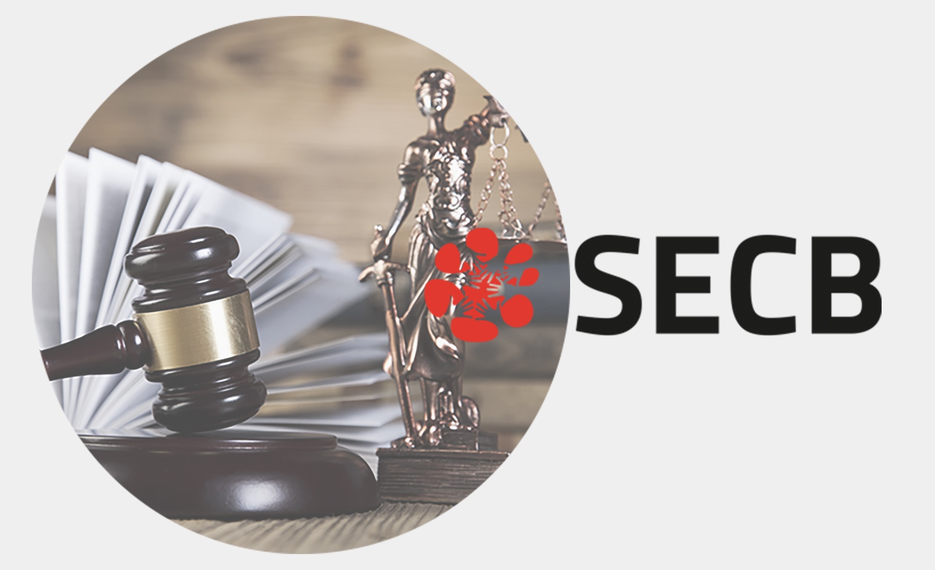 SECB DENUNCIAMOS LAS AMENAZAS Y AGRESIONES - SECB